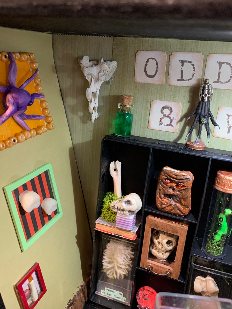 Handmade Miniature Coffin Shaped Shelf Oddities Art Display Halloween ...