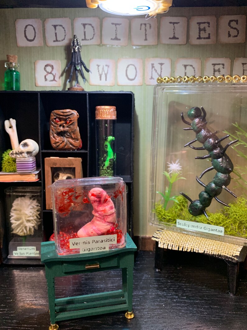 Handmade Miniature Coffin Shaped Shelf Oddities Art Display Halloween ...