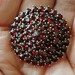 Hugo Grun Vintage Sterling Silver Gold Plated Brooch With Garnet. - Etsy
