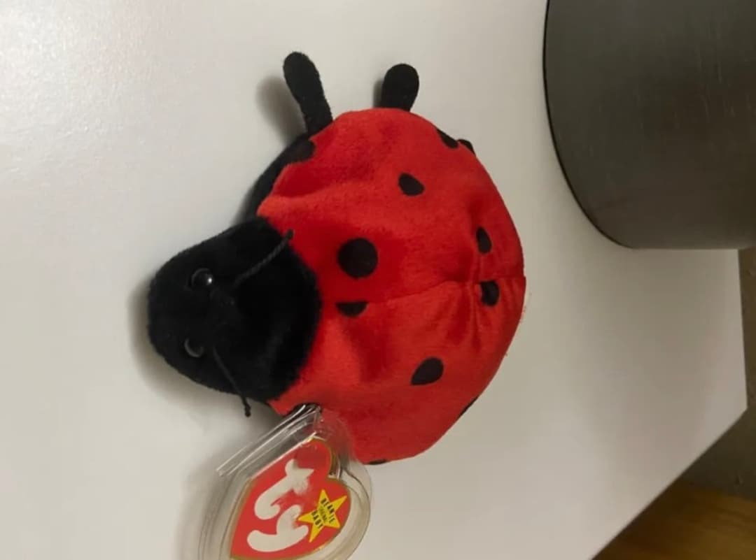 TY Beanie Baby Lucky the Lady Bug With Spots Plush Toy - Etsy