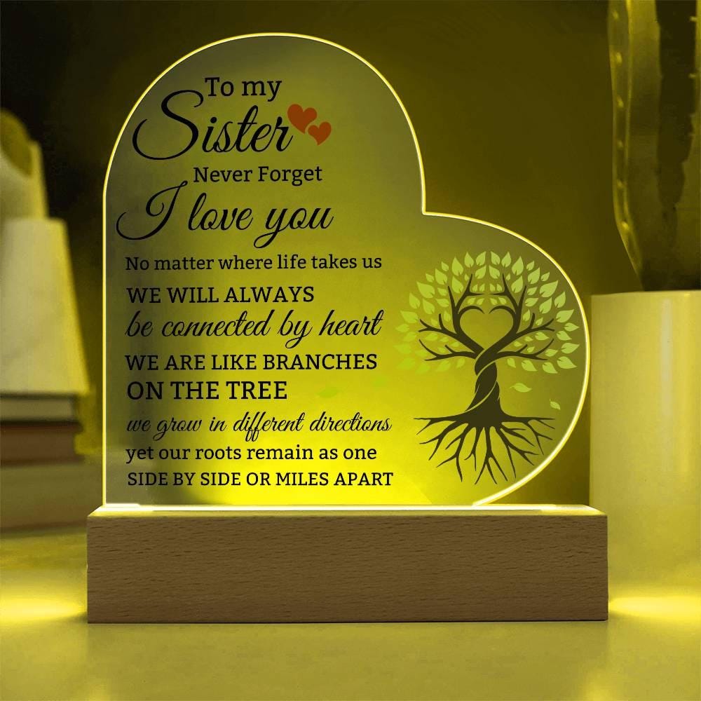 Sister Plaque, Big Sister Gift, Sister Birthday Gift, Sister Christmas ...