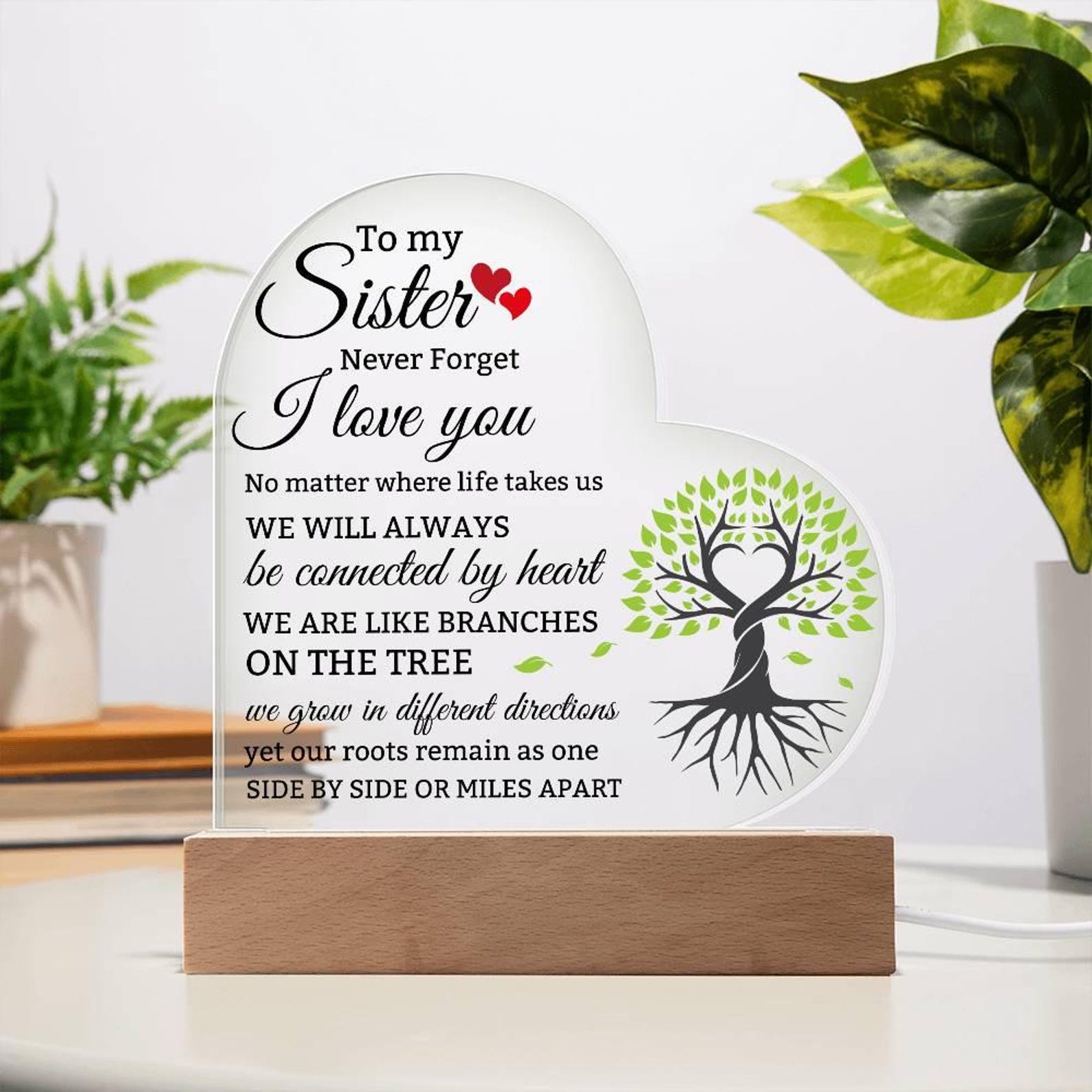 Sister Plaque, Big Sister Gift, Sister Birthday Gift, Sister Christmas ...
