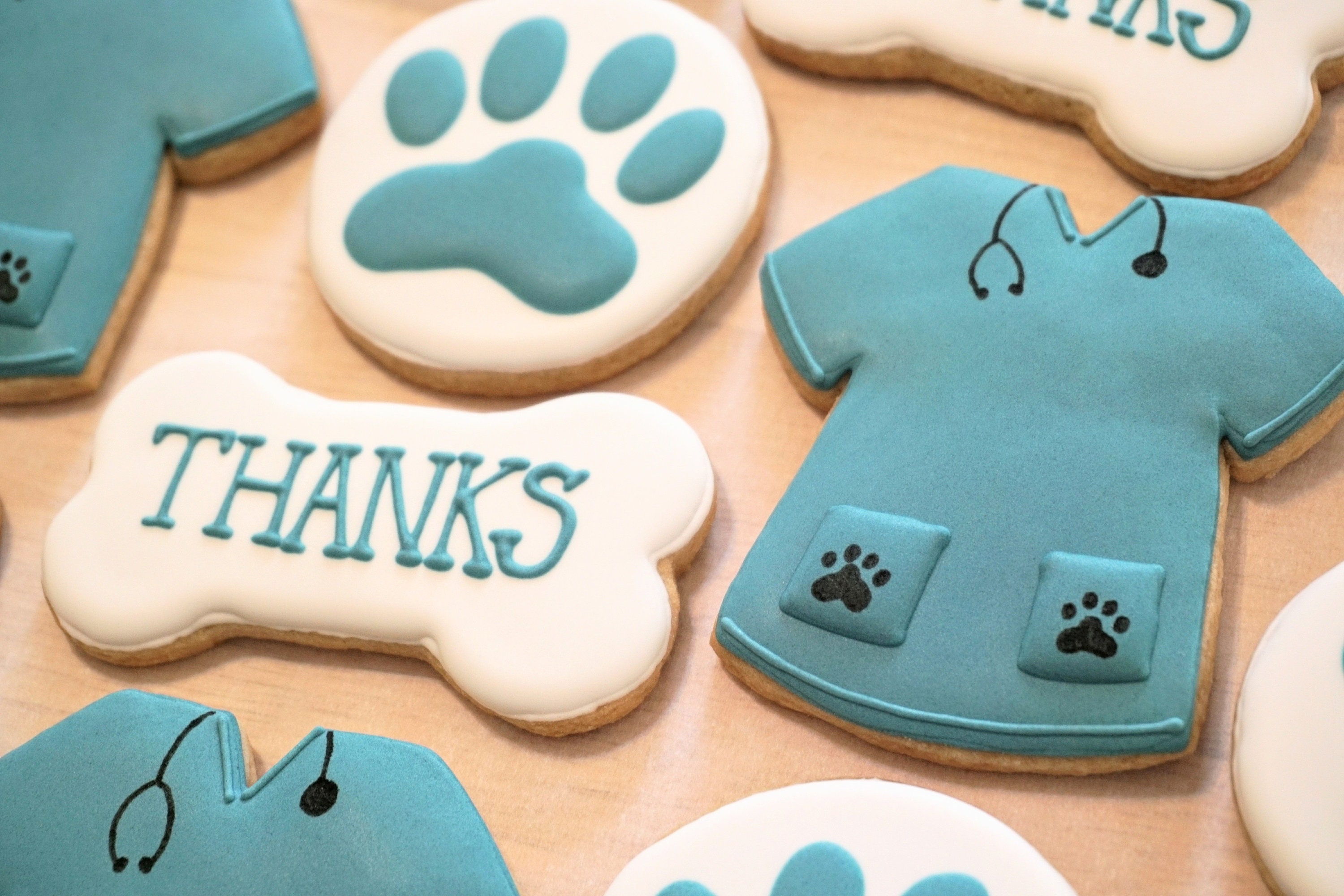 Veterinary Vet Nurse Appreciation Custom Decorated Sugar Cookies One ...