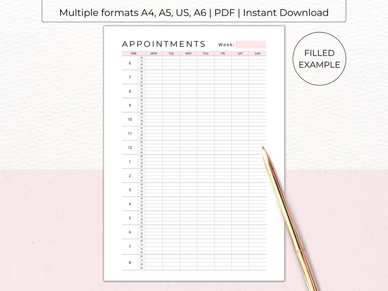 APPOINTMENT TRACKER Printable - 15 Min Interval Appointment Planner ...