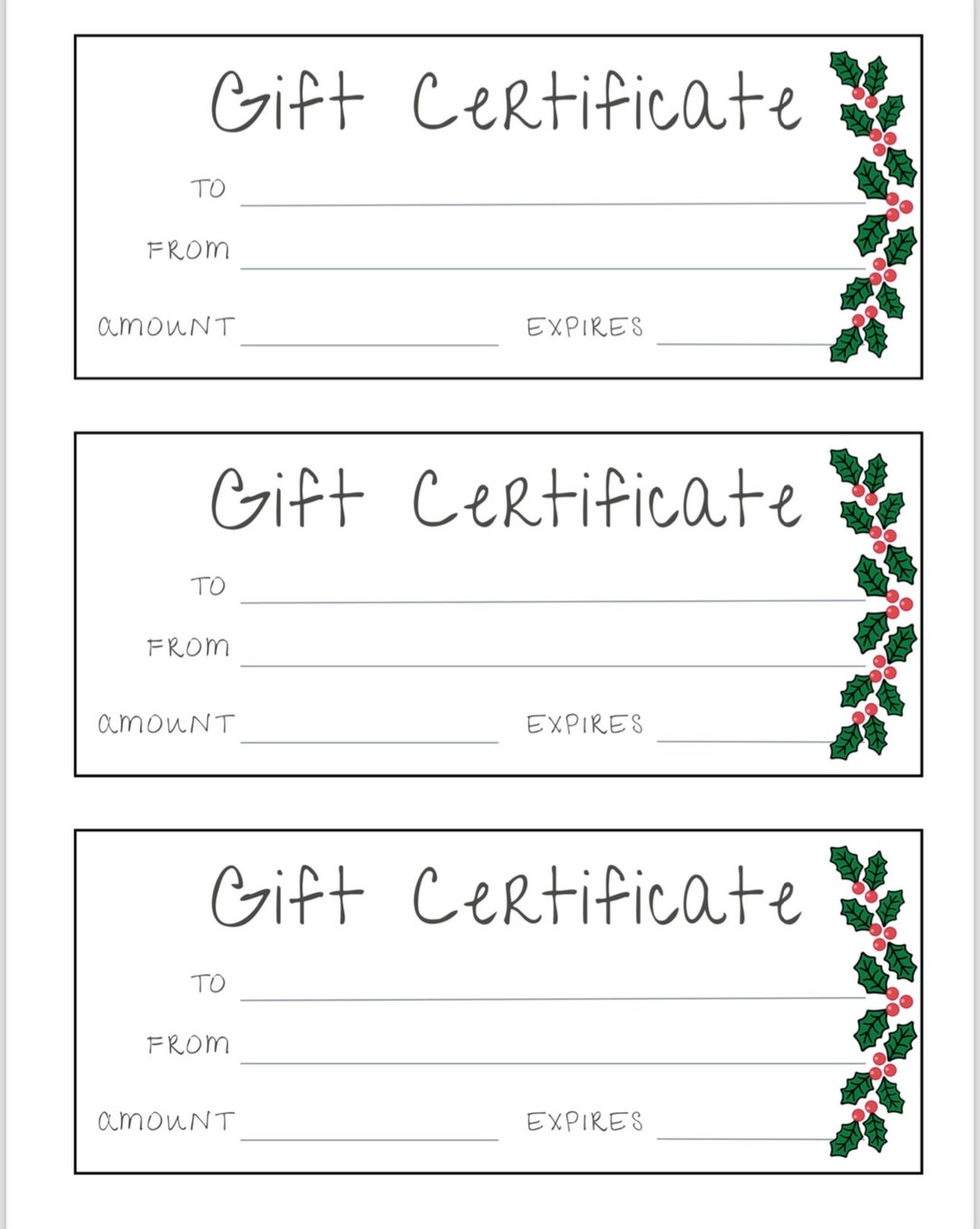 Winter and Holiday Blank Gift Certificates - Holly - Etsy