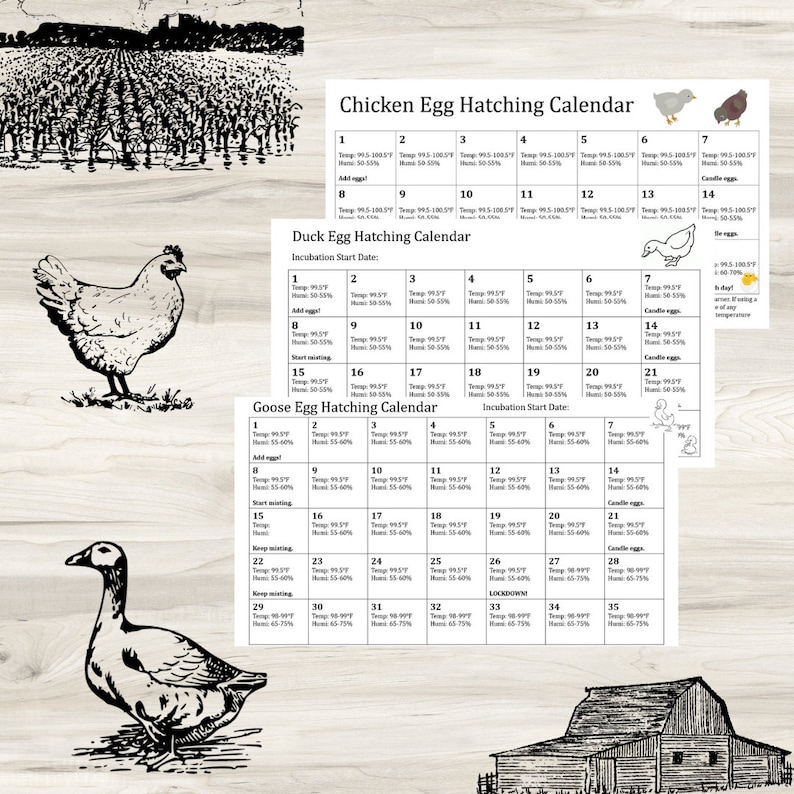 Printable Duck Egg Incubation Calendar - Etsy