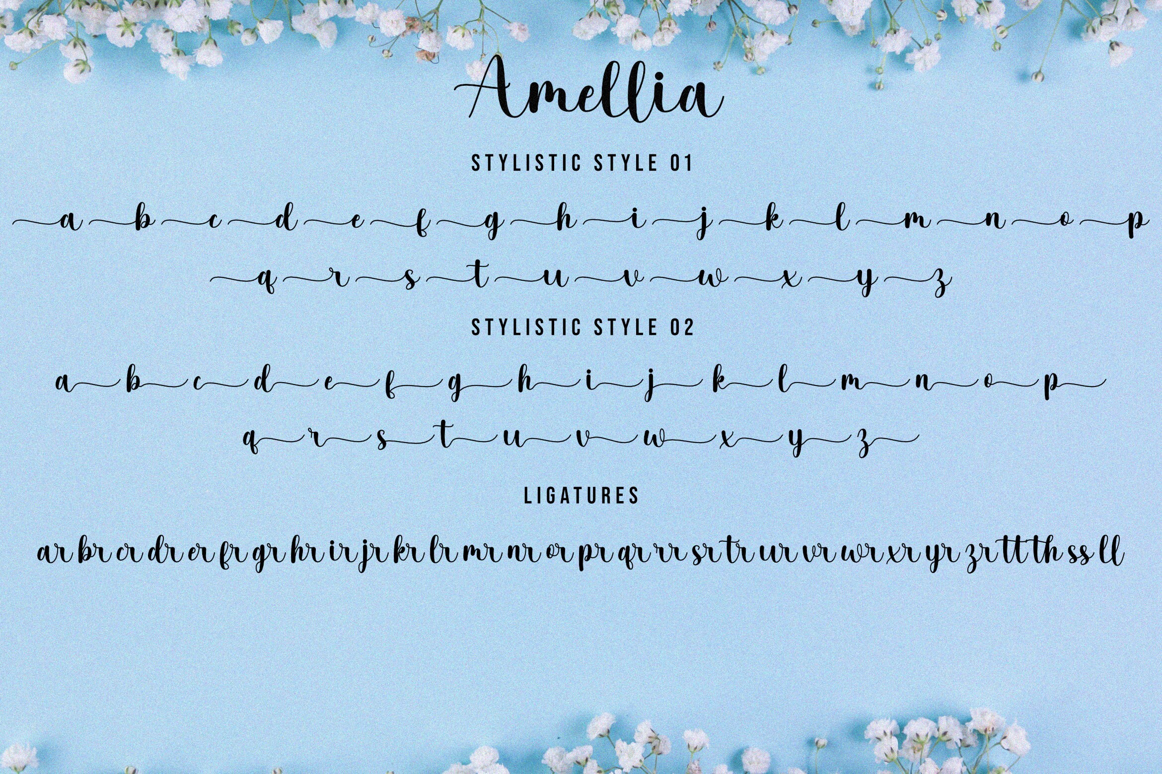 Amilla Signature Font for Canva Fonts Templett Corjl - Etsy