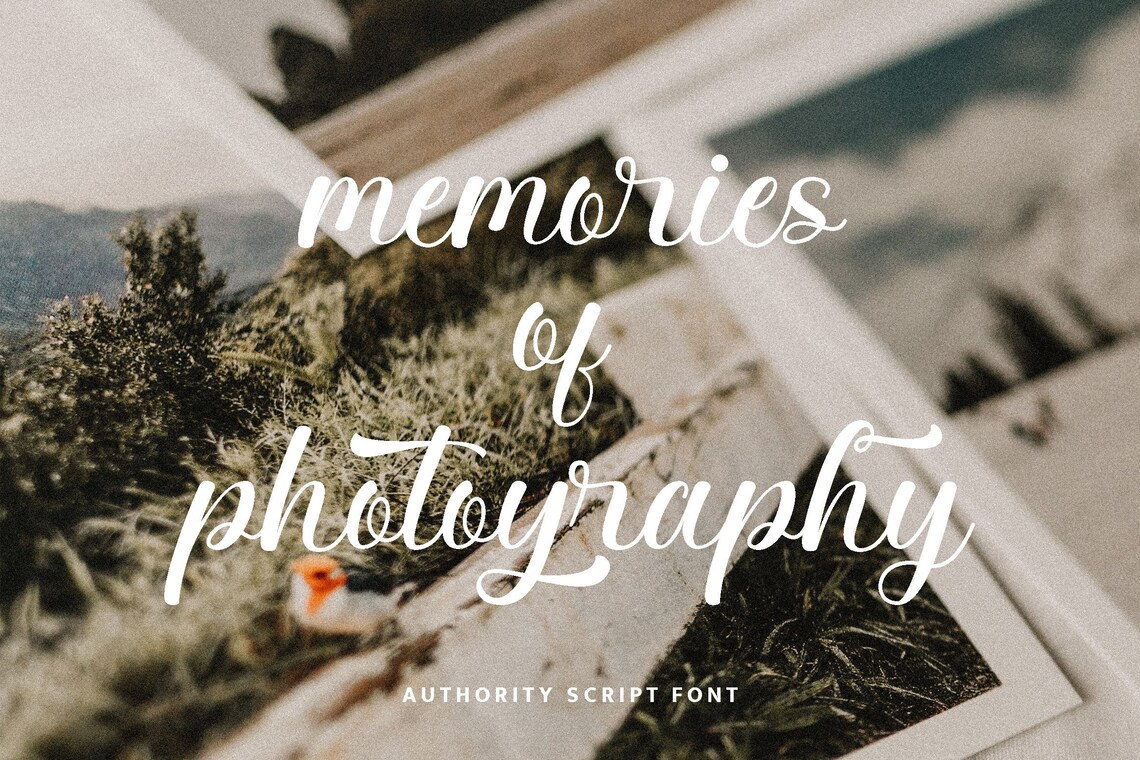 Bold Script Font, Script Font, Font for Cricut, Procreate Font, Poster ...