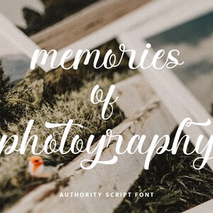 Bold Script Font, Script Font, Font for Cricut, Procreate Font, Poster ...