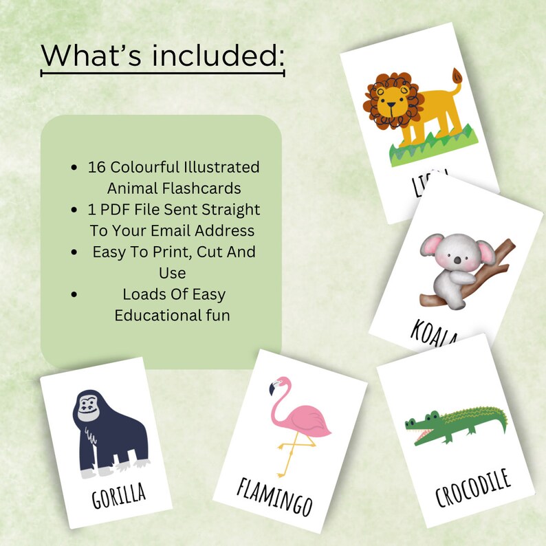 Colorful Illustrated Zoo Animals Digital Flash Cards for Kids Printable ...