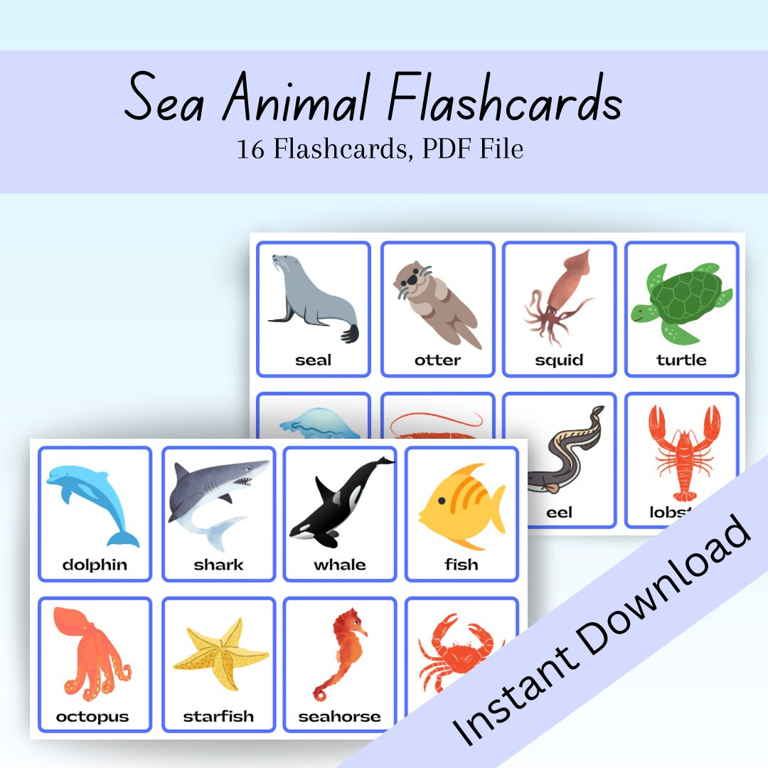 Sea Animal Flash Cards for Kids Digital Download Fun & Educational ...