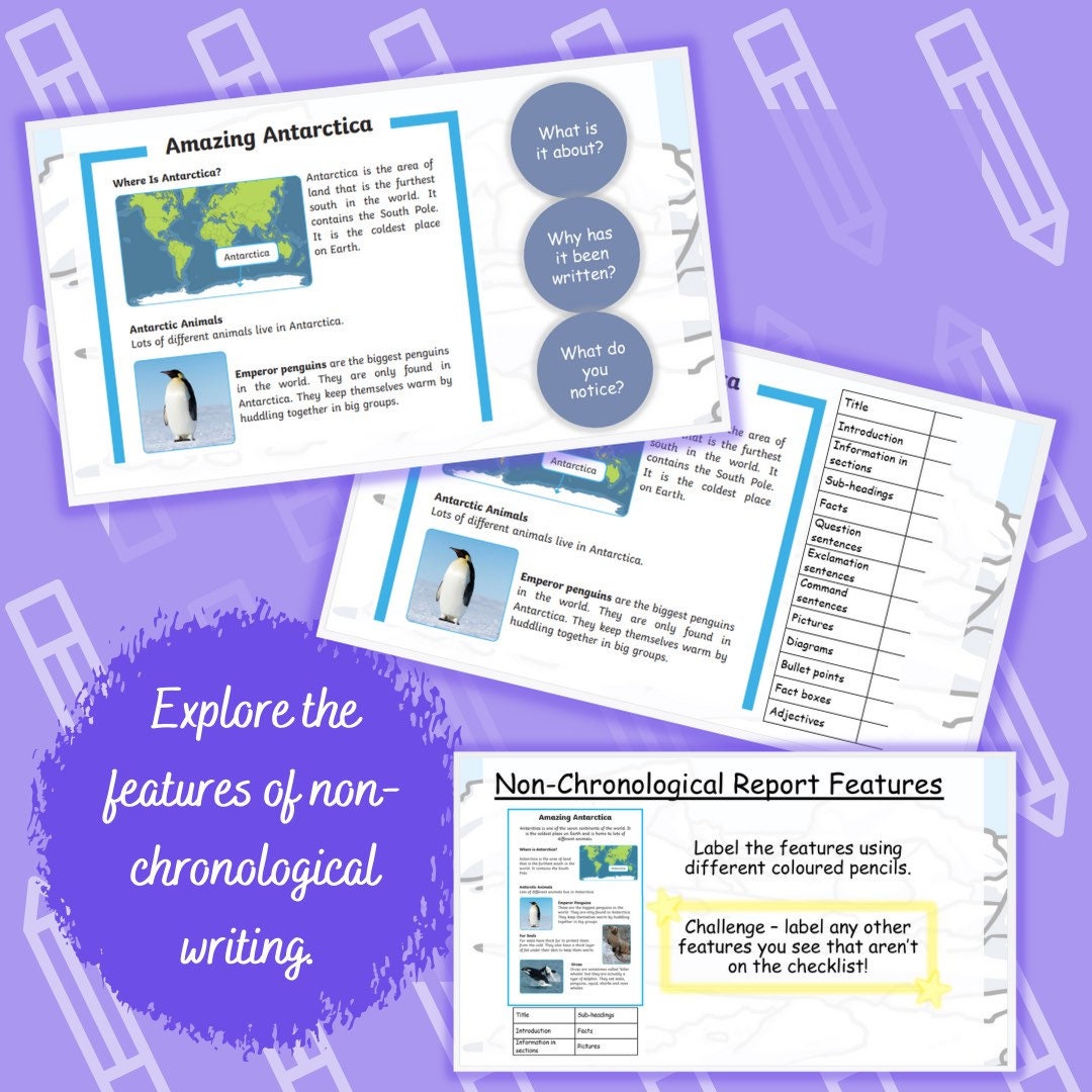 Penguins Non-chronological Report English Unit - Etsy