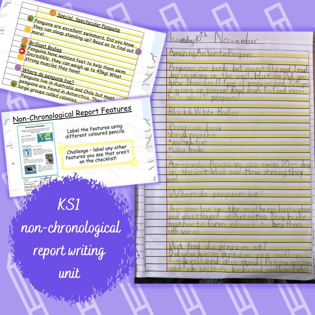 Penguins Non-chronological Report English Unit - Etsy