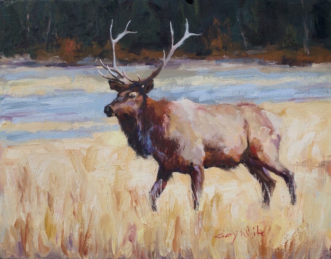 Young Bull Elk Oil Painting. I Photographed Him at Rocky - Etsy