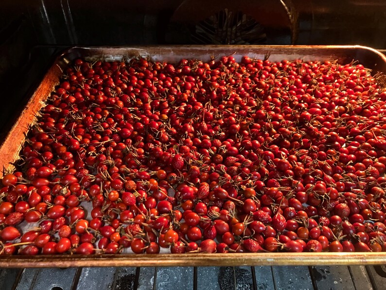 Wild Rose Hips - Etsy