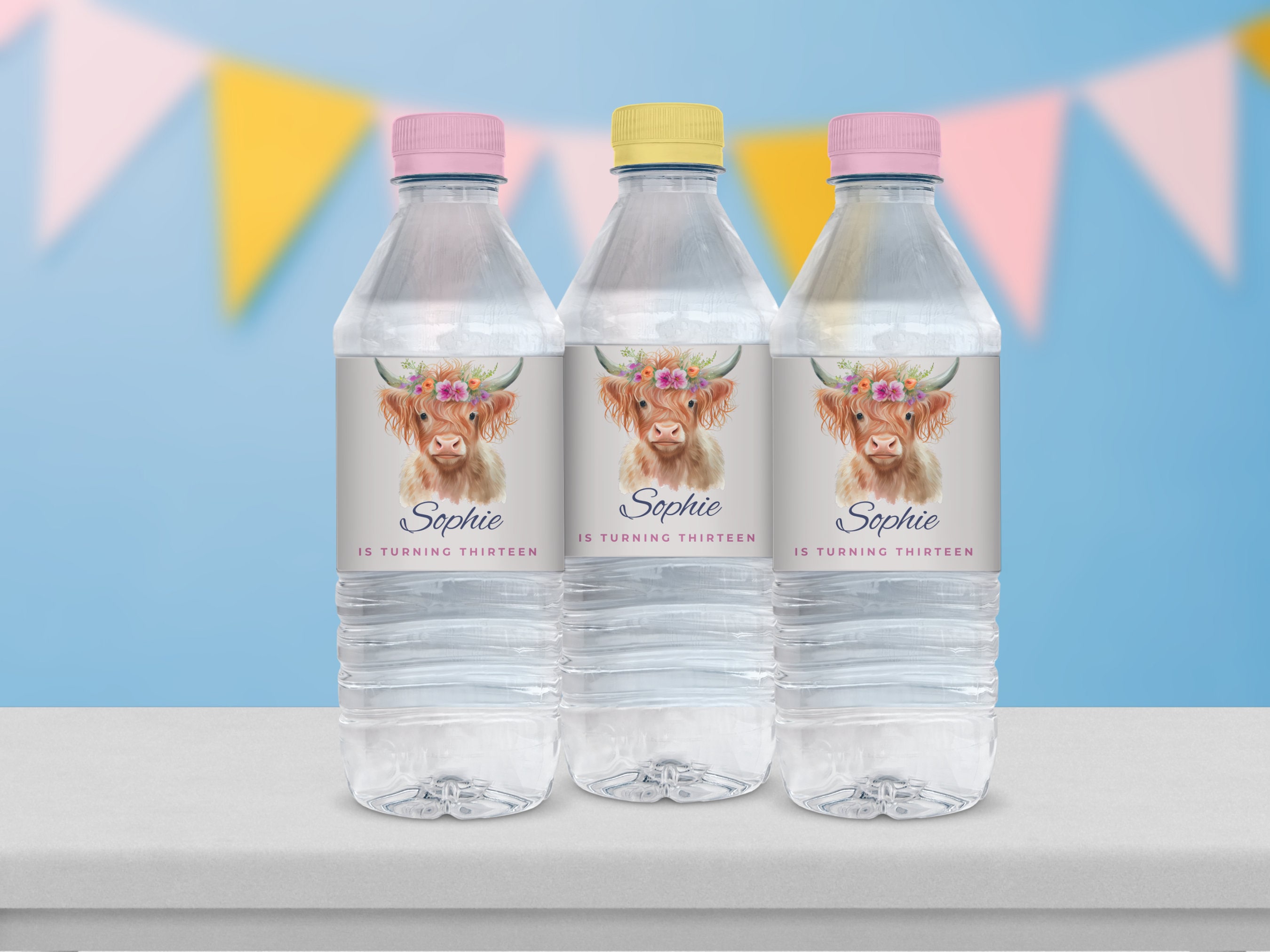 Highland Cow Water Bottle Label Printable Highland Cow Water - Etsy