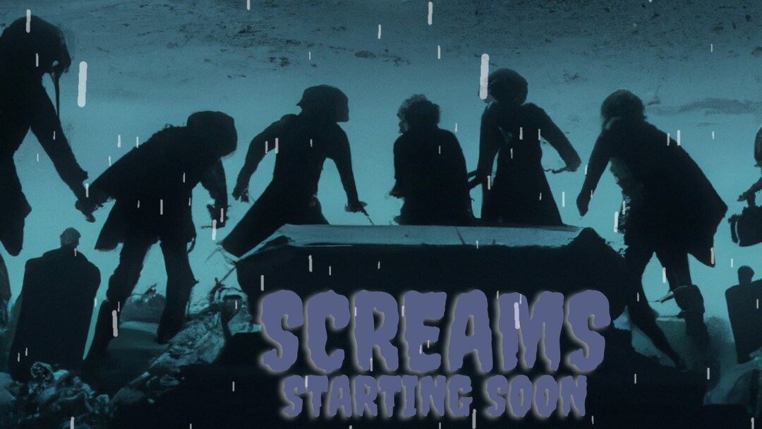 Halloween Starting Soon Screen for Streamers - Etsy
