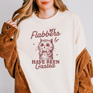 My Flabbers Have Been Gasted Shirt, Funny Cat Meme Tee, Sarcastic ...
