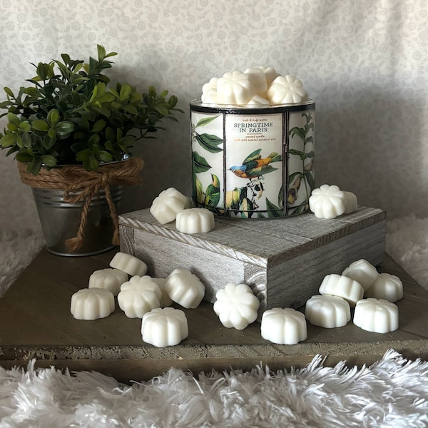 Spring in Paris - Etsy