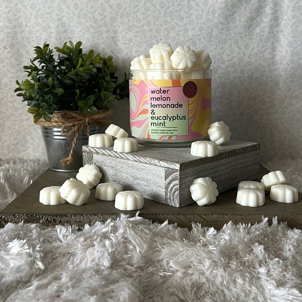 Watermelon Candle - Etsy