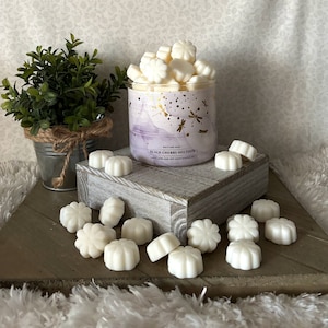 Black Cherry Seltzer ~ Bath and Body Works Candle Wax Melts - Etsy