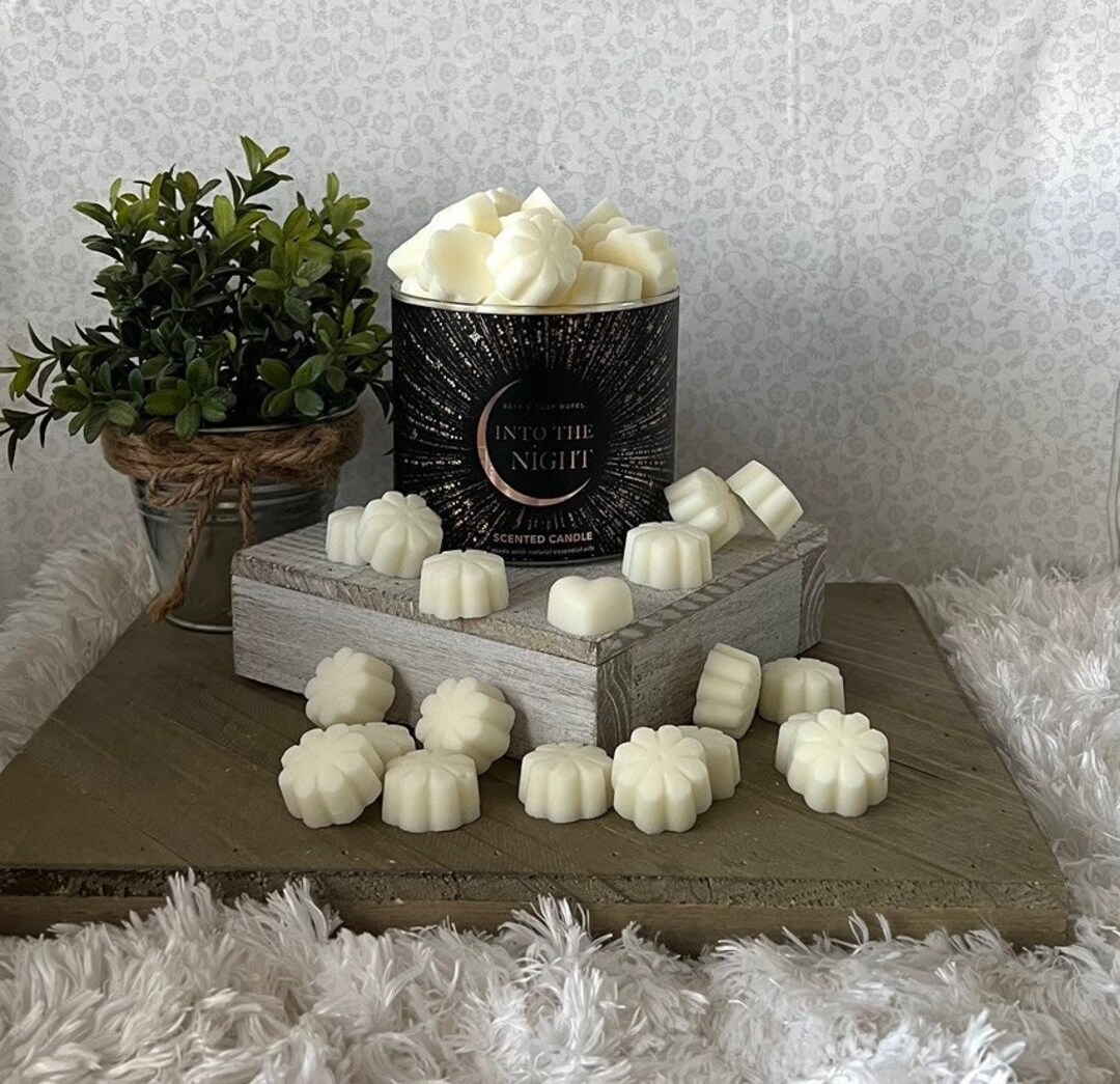 Into the Night ~ Bath and Body Works Candle Wax Melts - Etsy