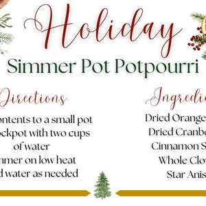 Holiday Simmer Potpourri: Orange, Cranberry & Cinnamon - Etsy