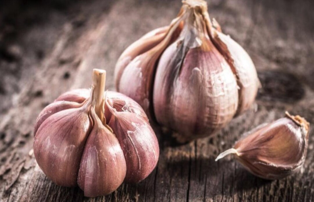 10 German Garlic Cloves Ready to Plant. Easy to Grow. Plant 6" Deep - Etsy