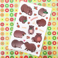 HYRAX - AWAWA - Wawa - Vinyl Sticker - Etsy