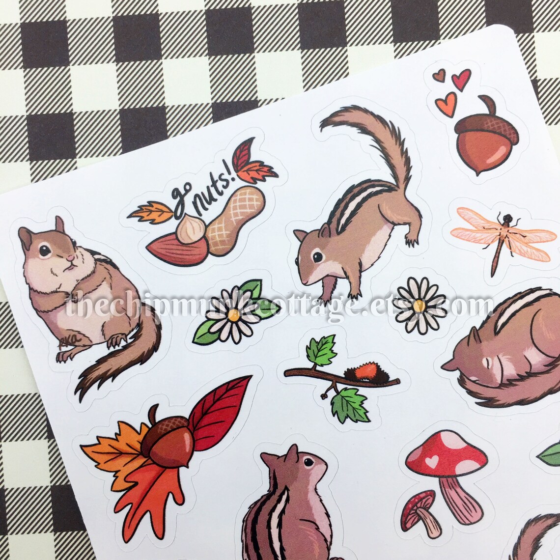 Autumn Chipmunks Cute Matte Sticker Sheet Fall Seasonal Stationery ...
