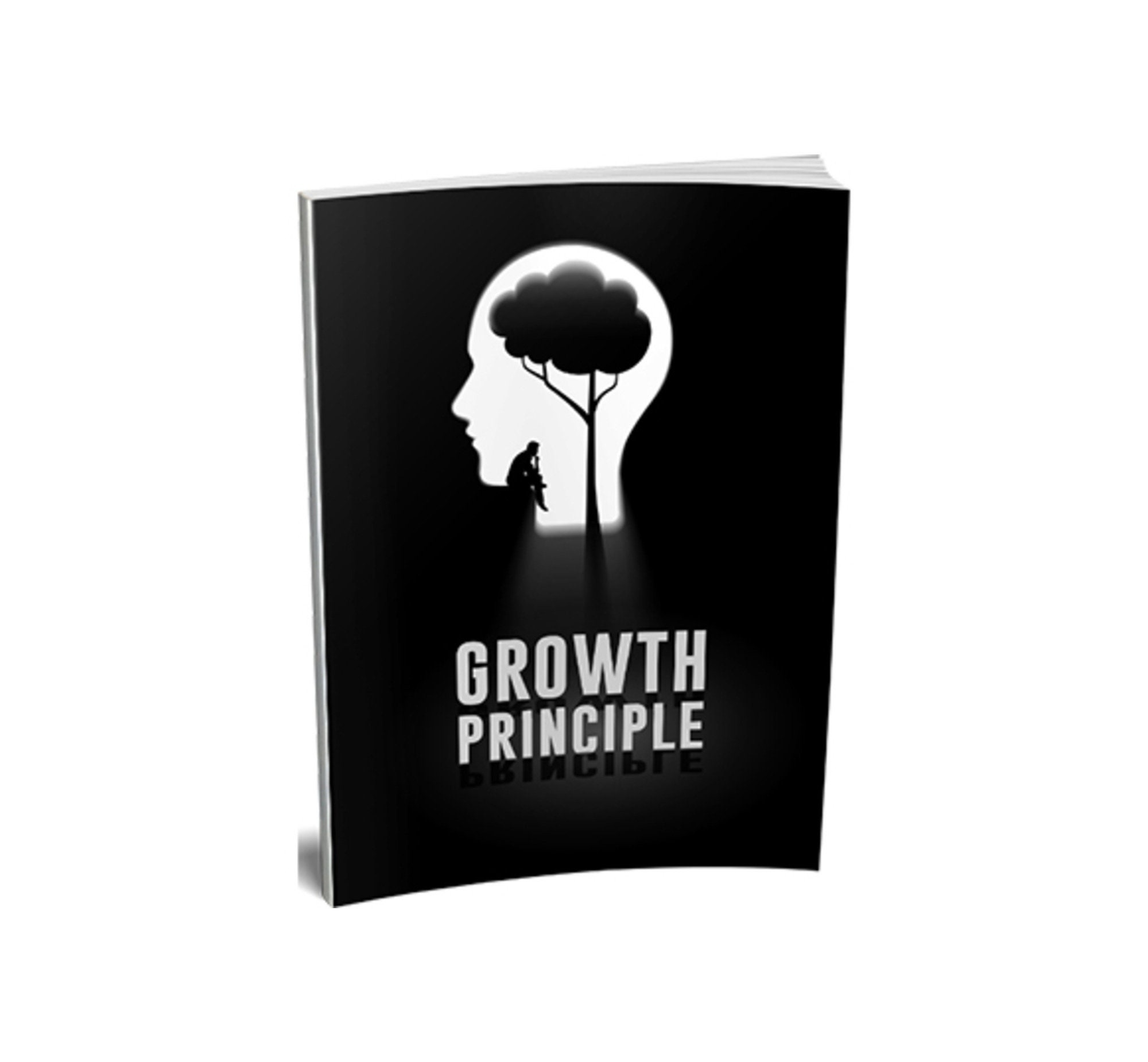Growth Principles, Growth Mindset for Entrepreneurs, Build Your ...