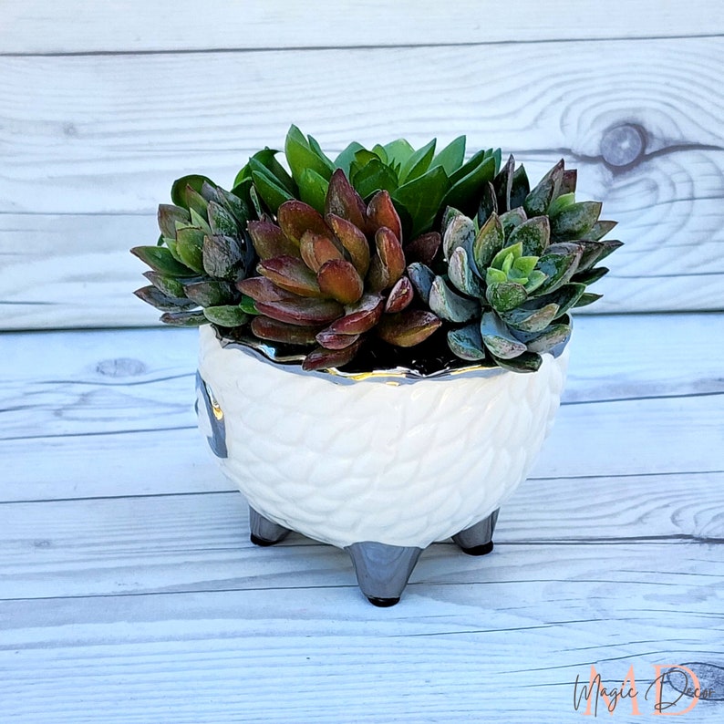 Hedgehog Planter With Artificial Succulent Plants, Ceramic Planter ...