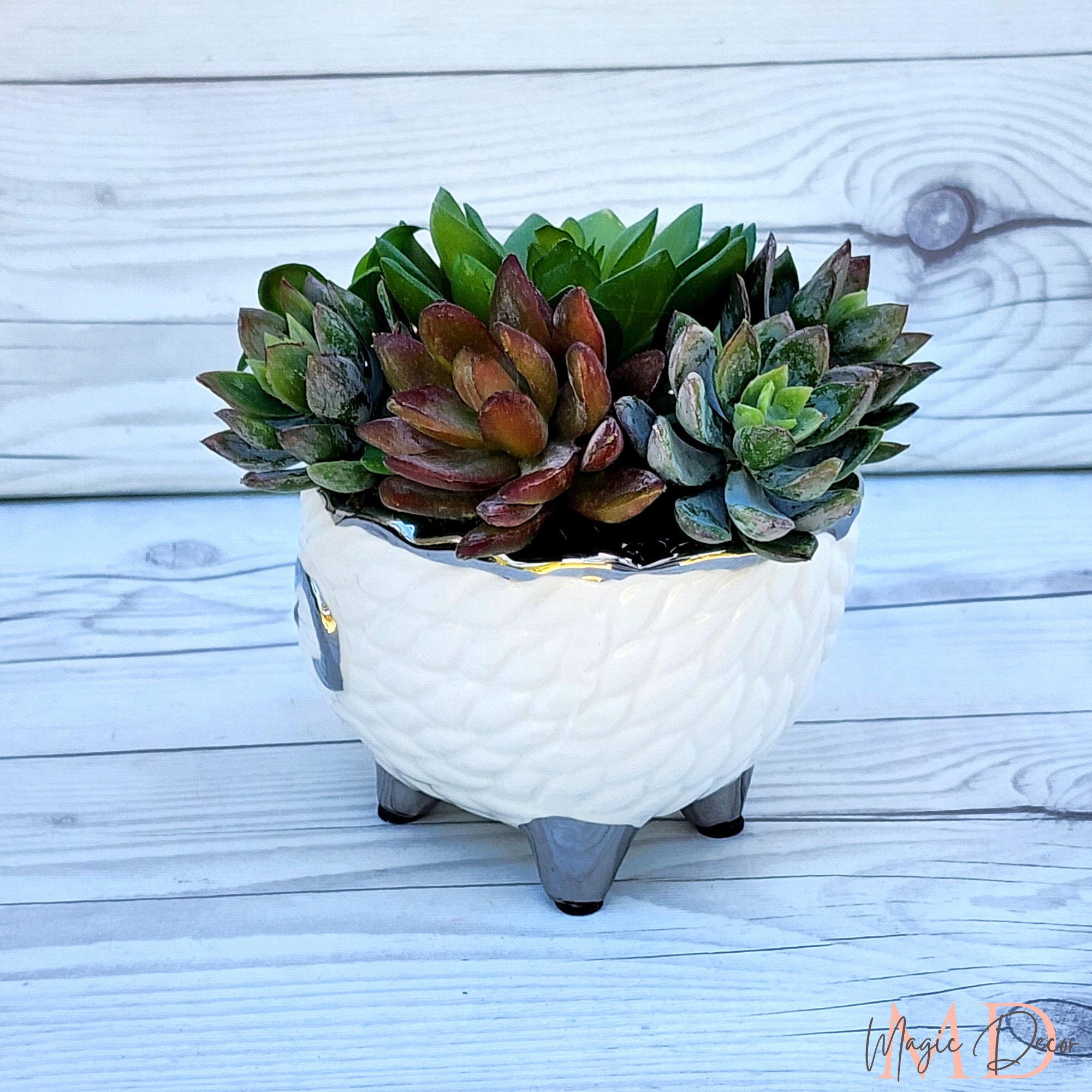 Hedgehog Planter With Artificial Succulent Plants, Ceramic Planter ...