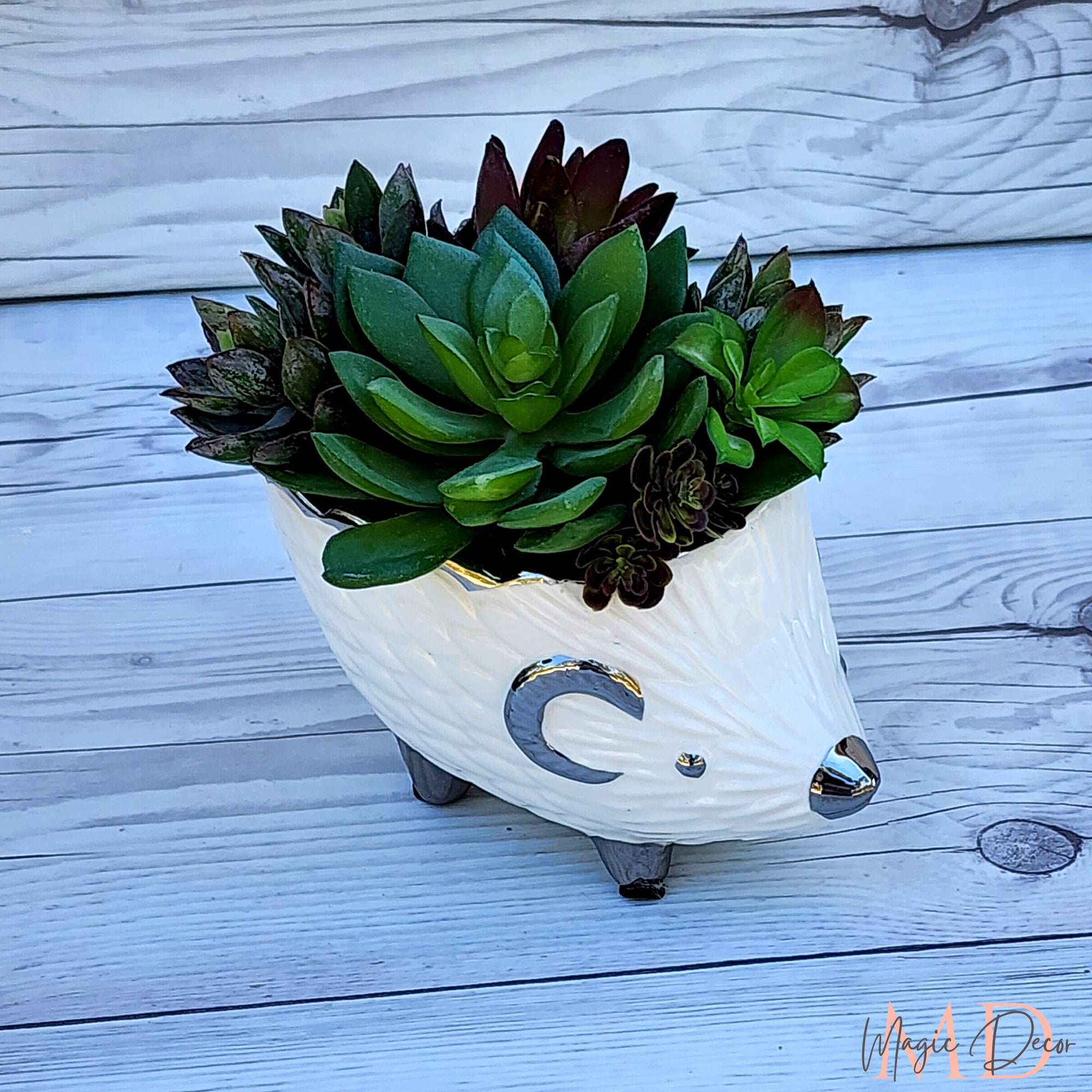 Hedgehog Planter With Artificial Succulent Plants, Ceramic Planter ...