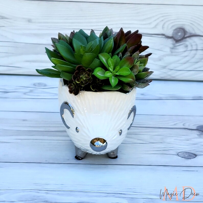 Hedgehog Planter With Artificial Succulent Plants, Ceramic Planter ...