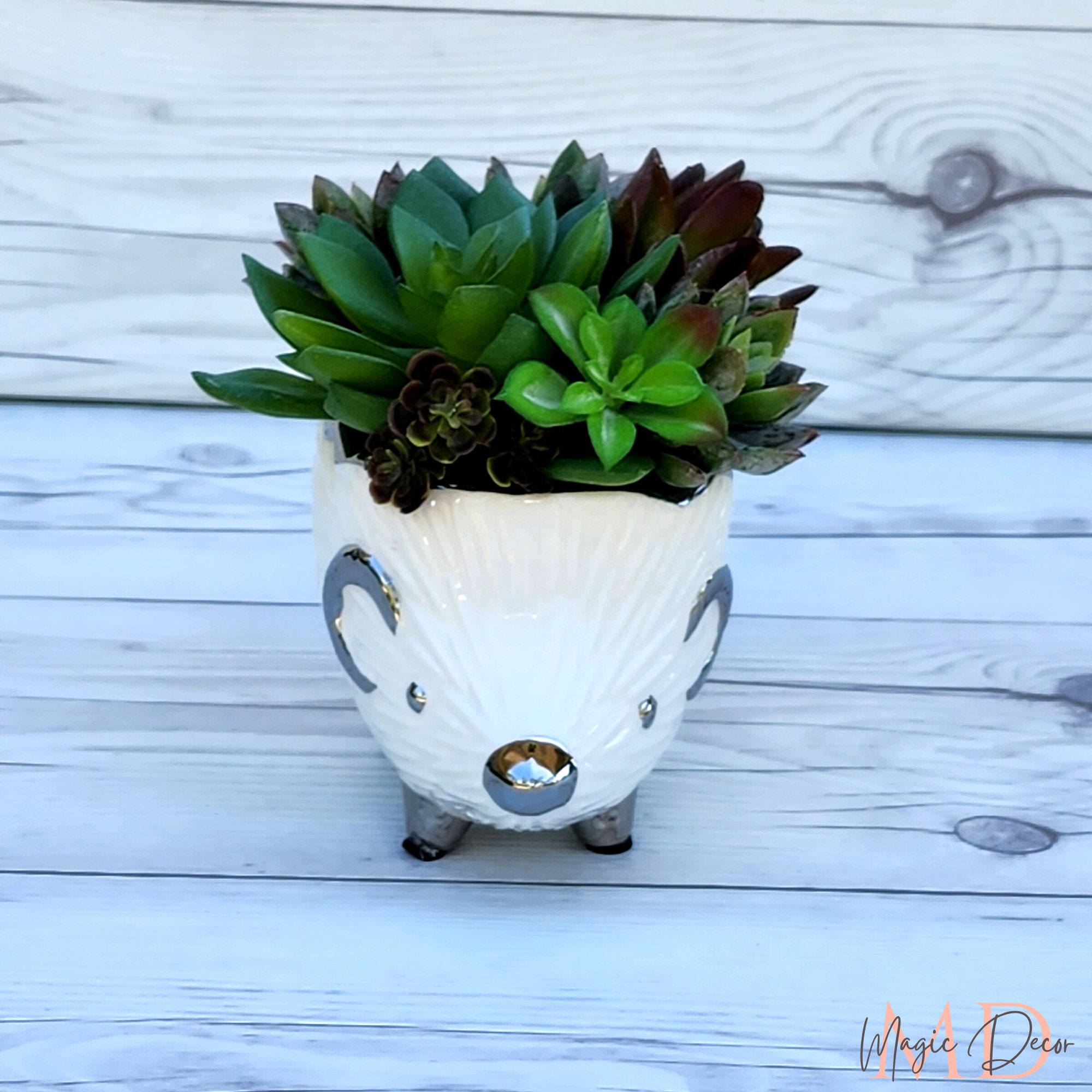 Hedgehog Planter With Artificial Succulent Plants, Ceramic Planter ...