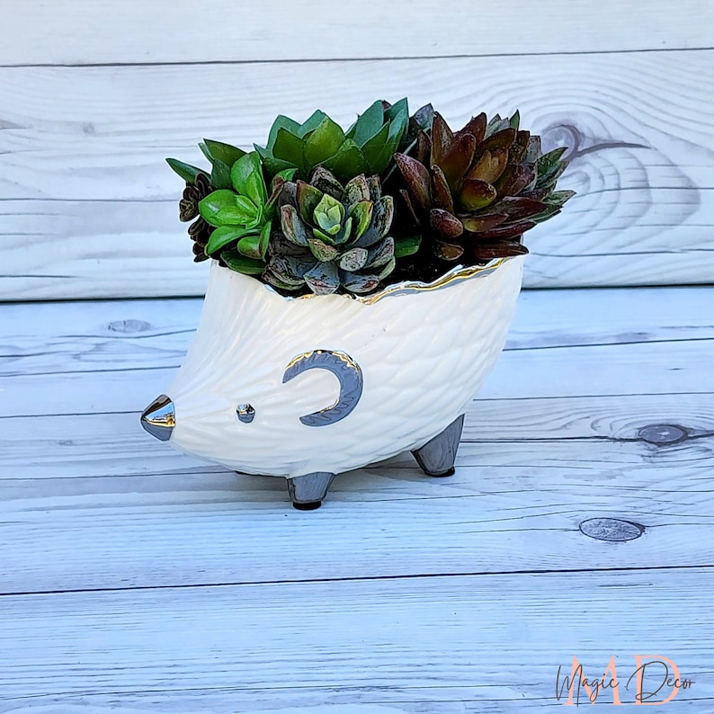 Hedgehog Planter With Artificial Succulent Plants, Ceramic Planter ...