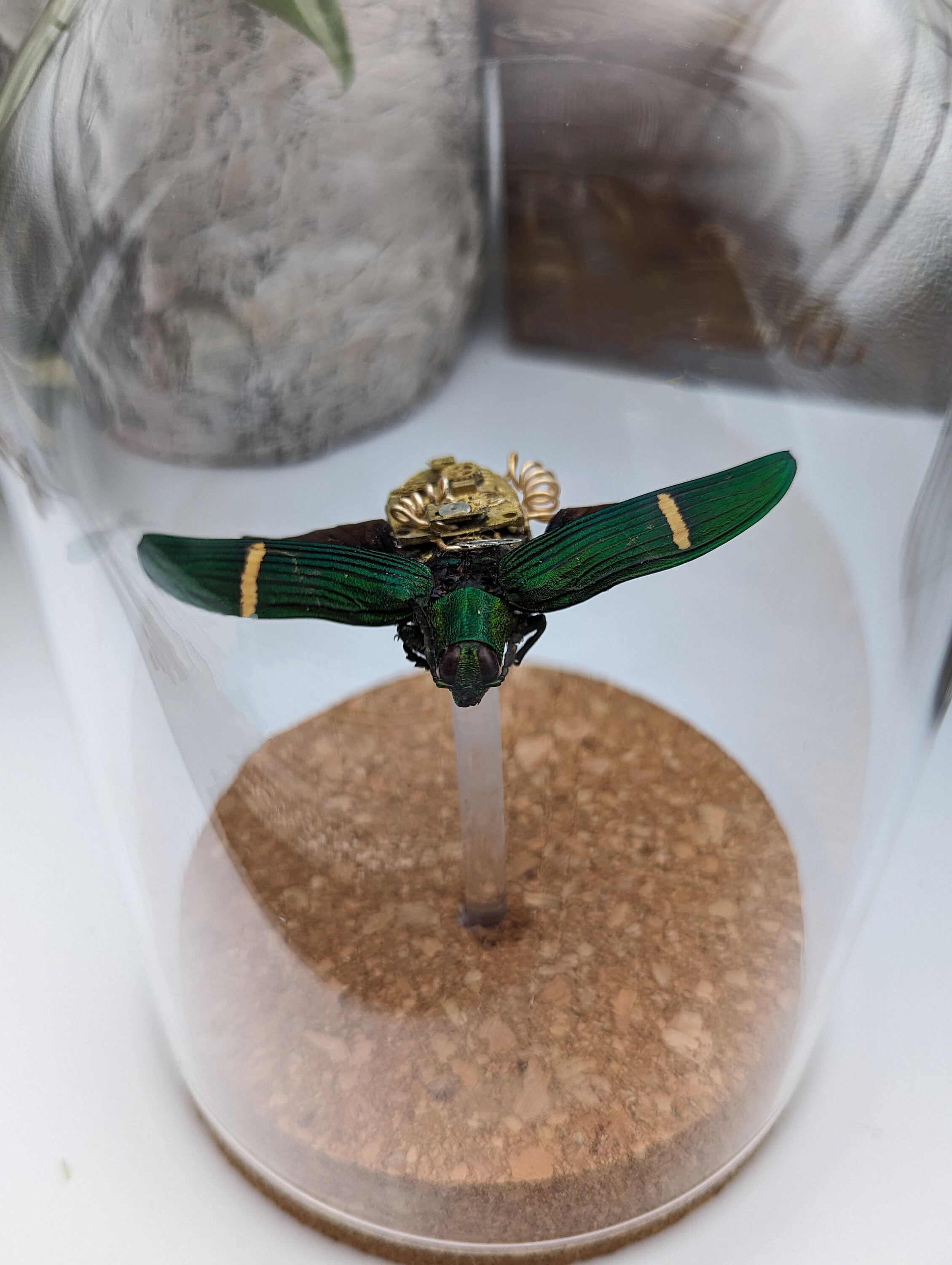 Steampunk Beetle Buddy: Kickin' Cool Steampunk Vibes in a Handmade ...