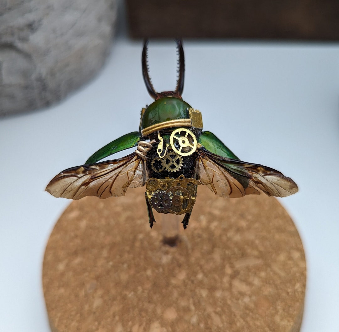 Steampunk Beetle Buddy: Kickin' Cool Steampunk Vibes in a Handmade ...