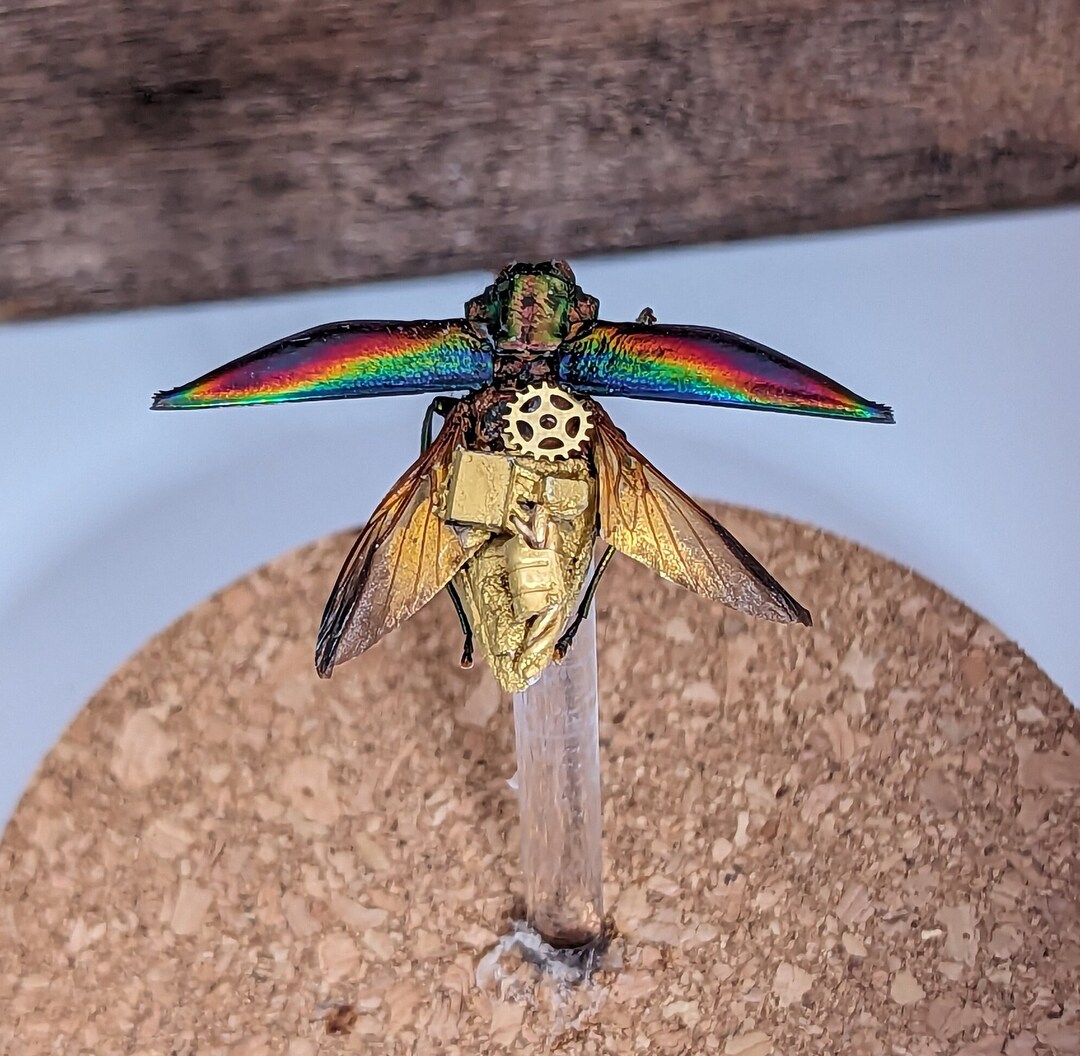 Steampunk Beetle Buddy: Kickin' Cool Steampunk Vibes in A Glass Encased ...