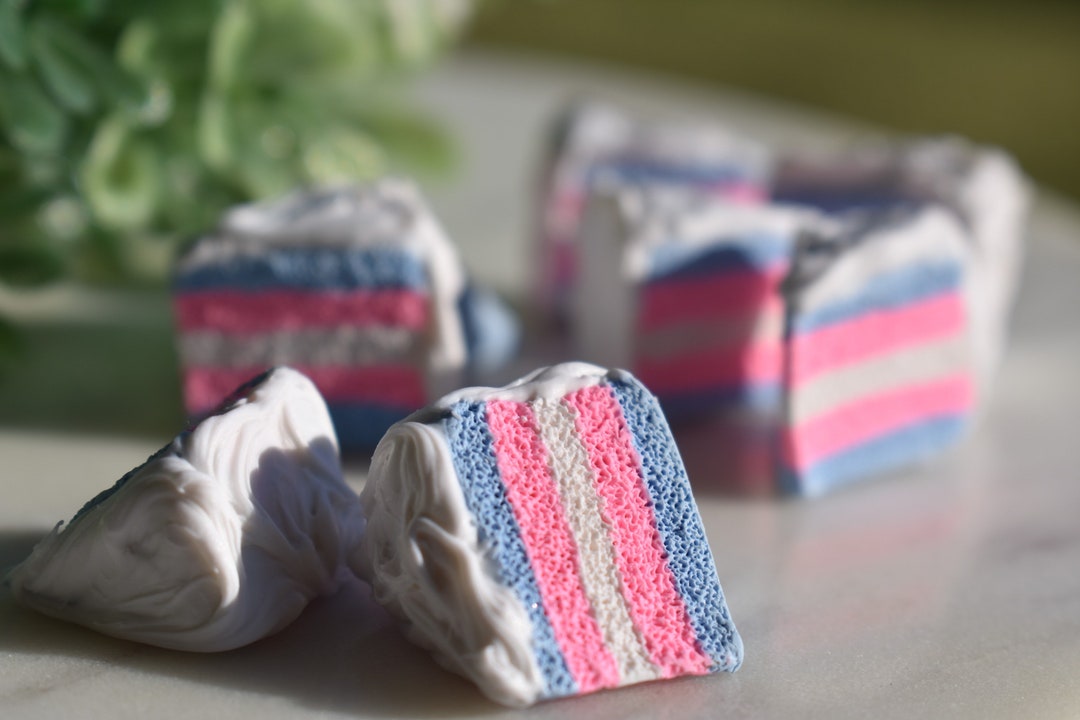 Trans Pride Cake Slice Miniature Keepsake - Etsy