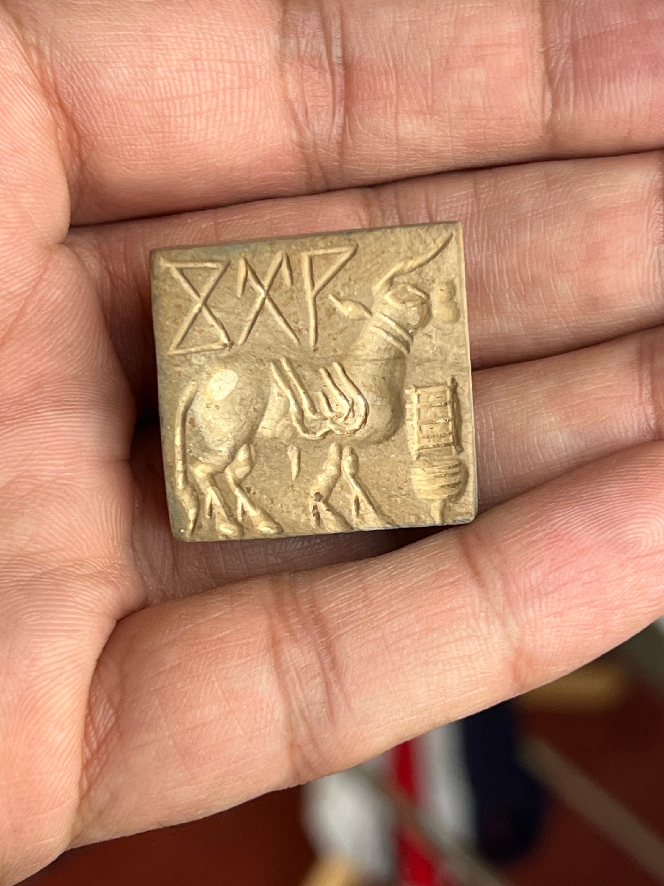 Indus Valley Civilization Coins