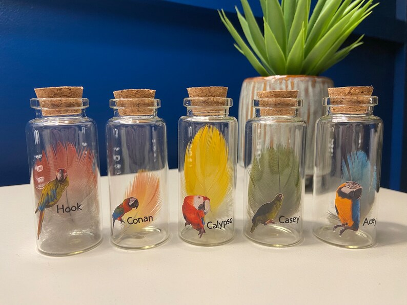 Real Rainbow Parrot Feather Mini Bottles - Etsy