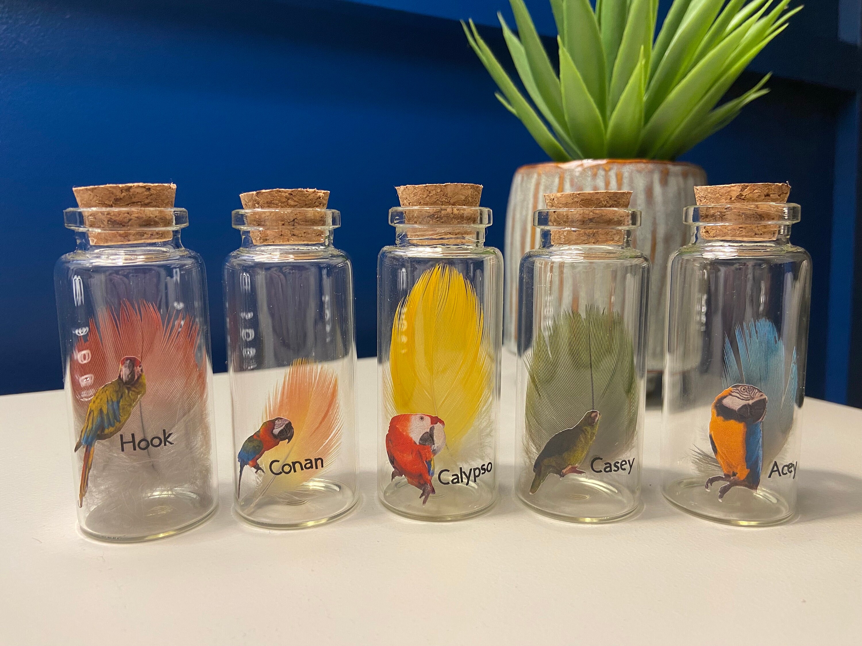Real Rainbow Parrot Feather Mini Bottles - Etsy
