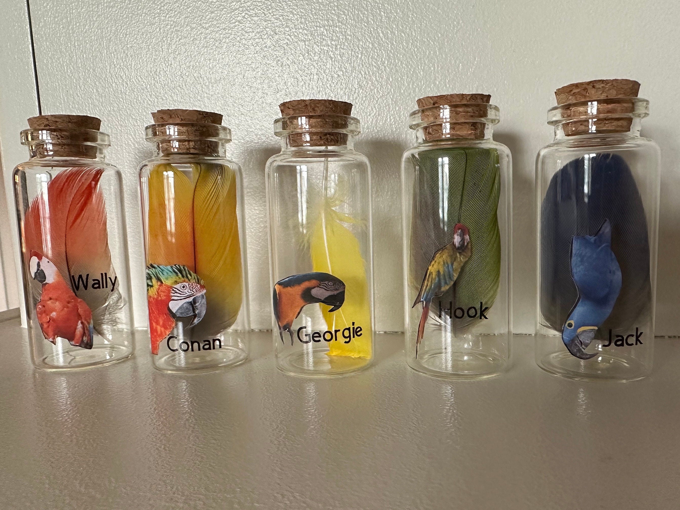 Real Rainbow Parrot Feather Mini Bottles - Etsy