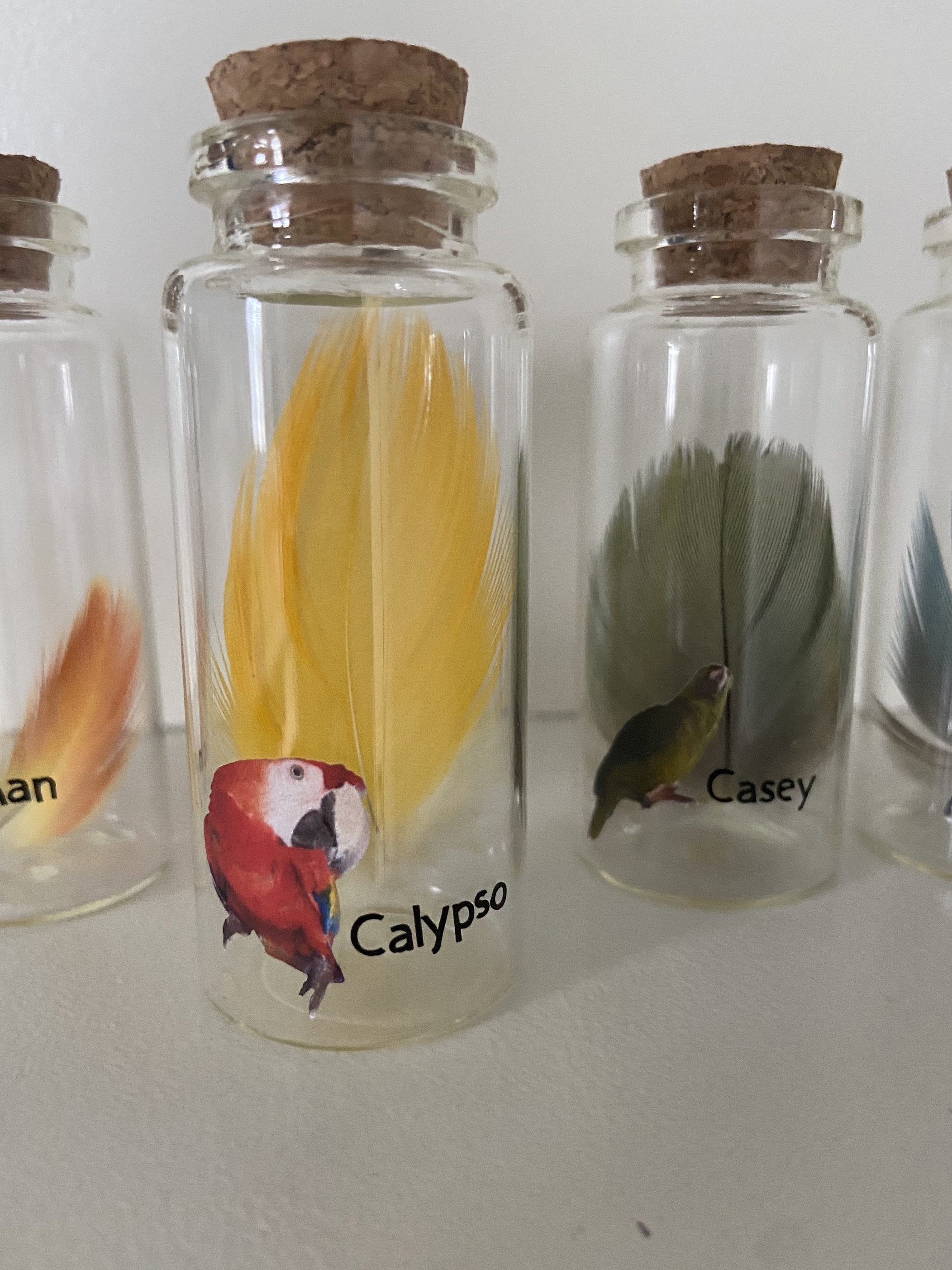 Real Rainbow Parrot Feather Mini Bottles - Etsy