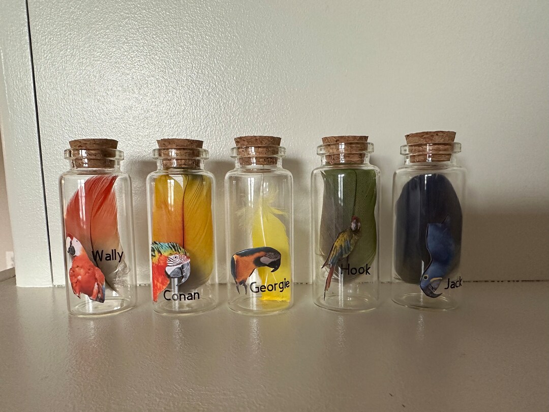 Real Rainbow Parrot Feather Mini Bottles - Etsy