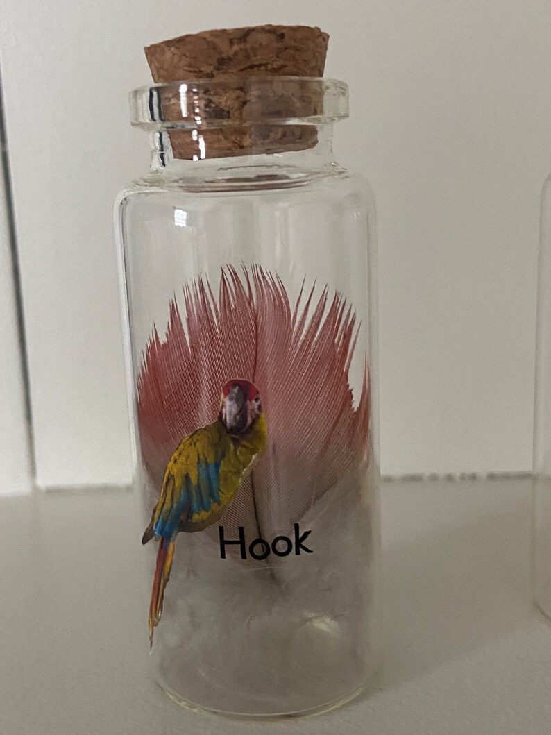 Real Rainbow Parrot Feather Mini Bottles - Etsy