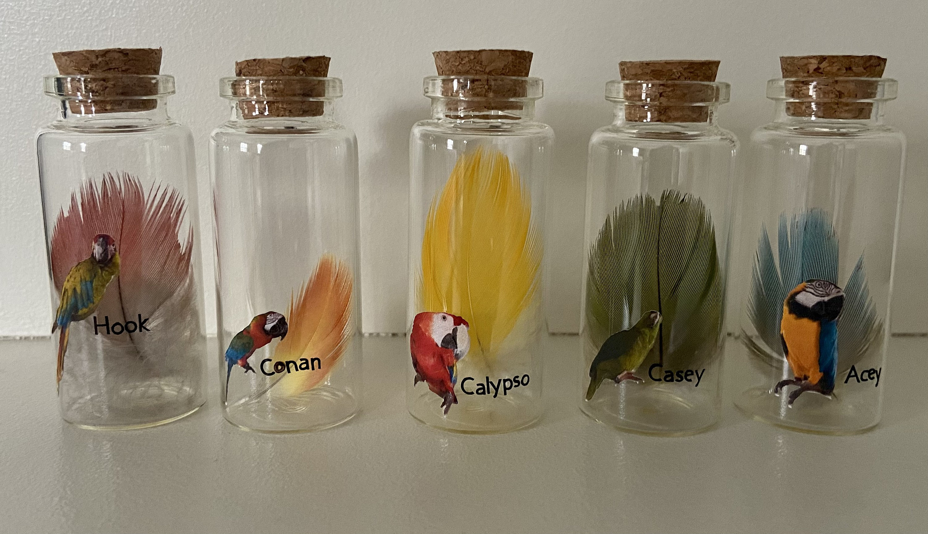 Real Rainbow Parrot Feather Mini Bottles - Etsy
