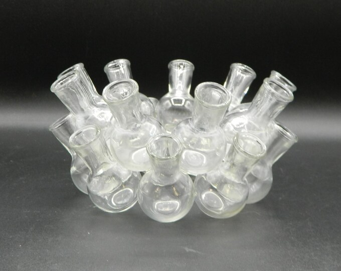Glass Beaker 18 Bud Plant Propagation Vase - Etsy